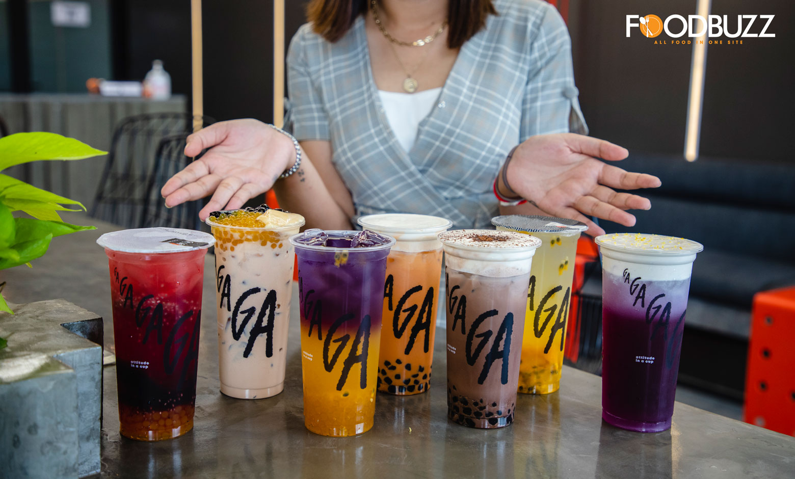 A new adventure for Boba explorers: GAGA is here to satisfy all the ...