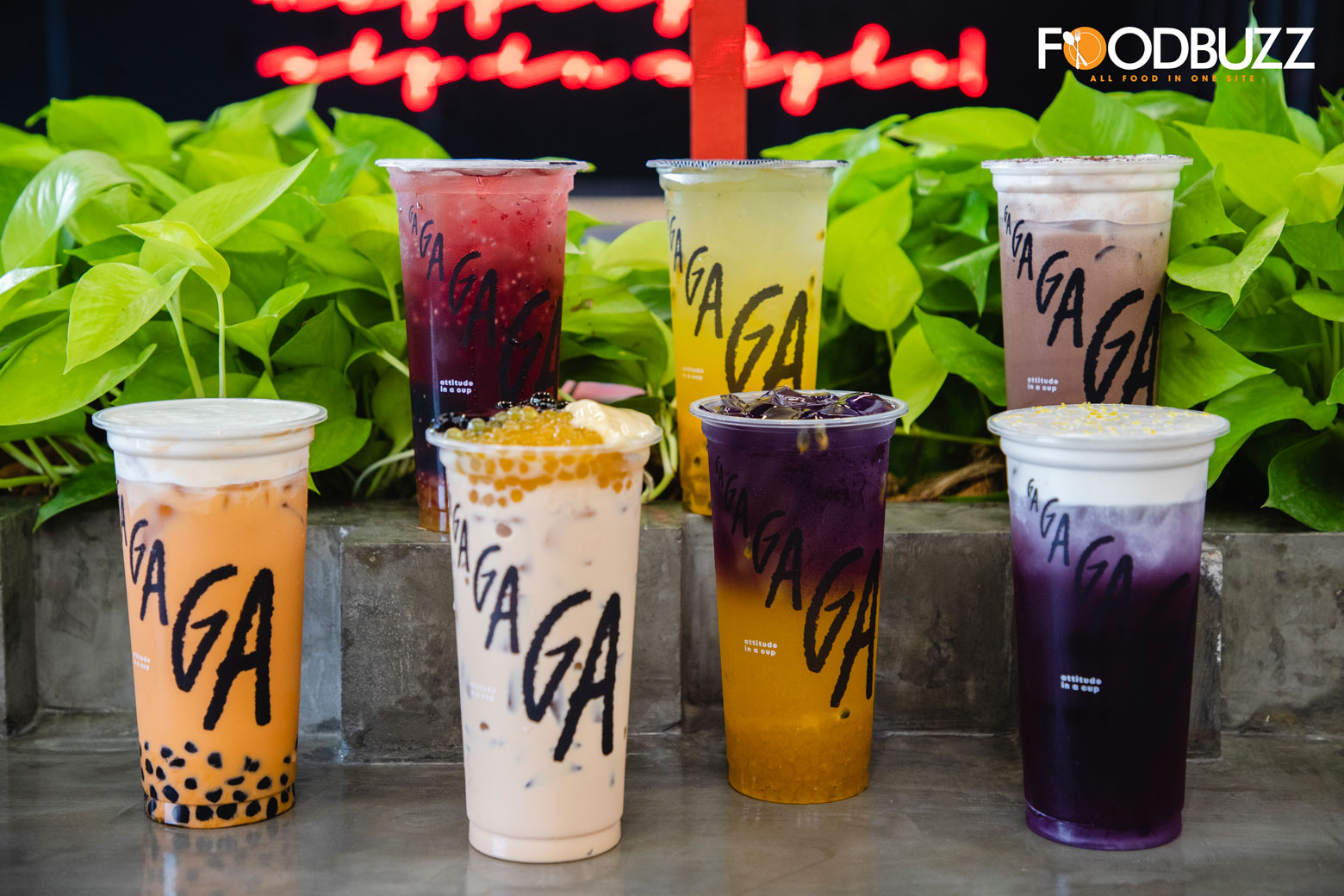 ល្បីទៀតហើយ! កុំភ្លេចមកផឹកតែគុជនៅ GAGA ណា! ដែលជាប្រេន ...