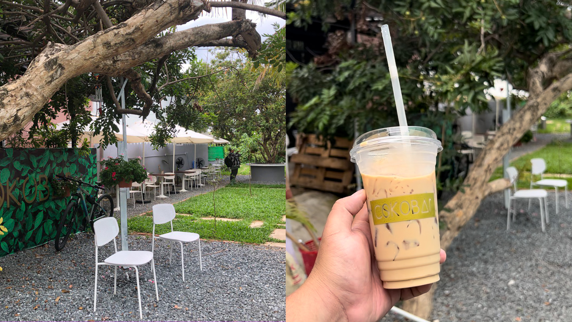 COKOBAR: A Café That Combines Coffee, Nature, and Relaxation