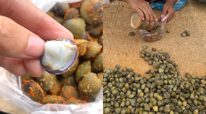 Clap! Clap!... not applauding just the sound of Salted-dried clam ...