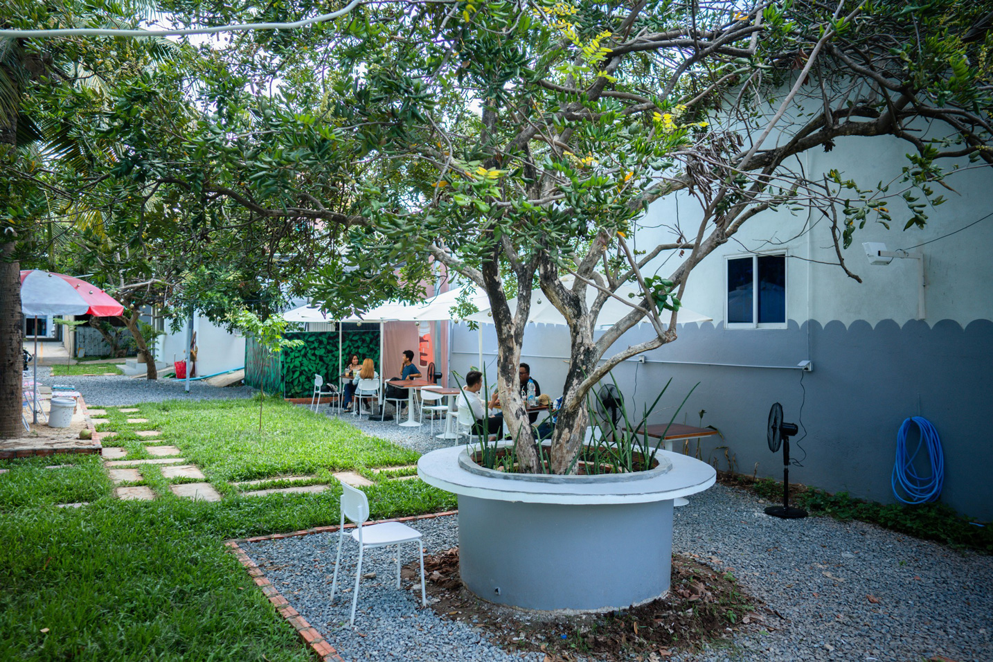 COKOBAR: A Café That Combines Coffee, Nature, and Relaxation